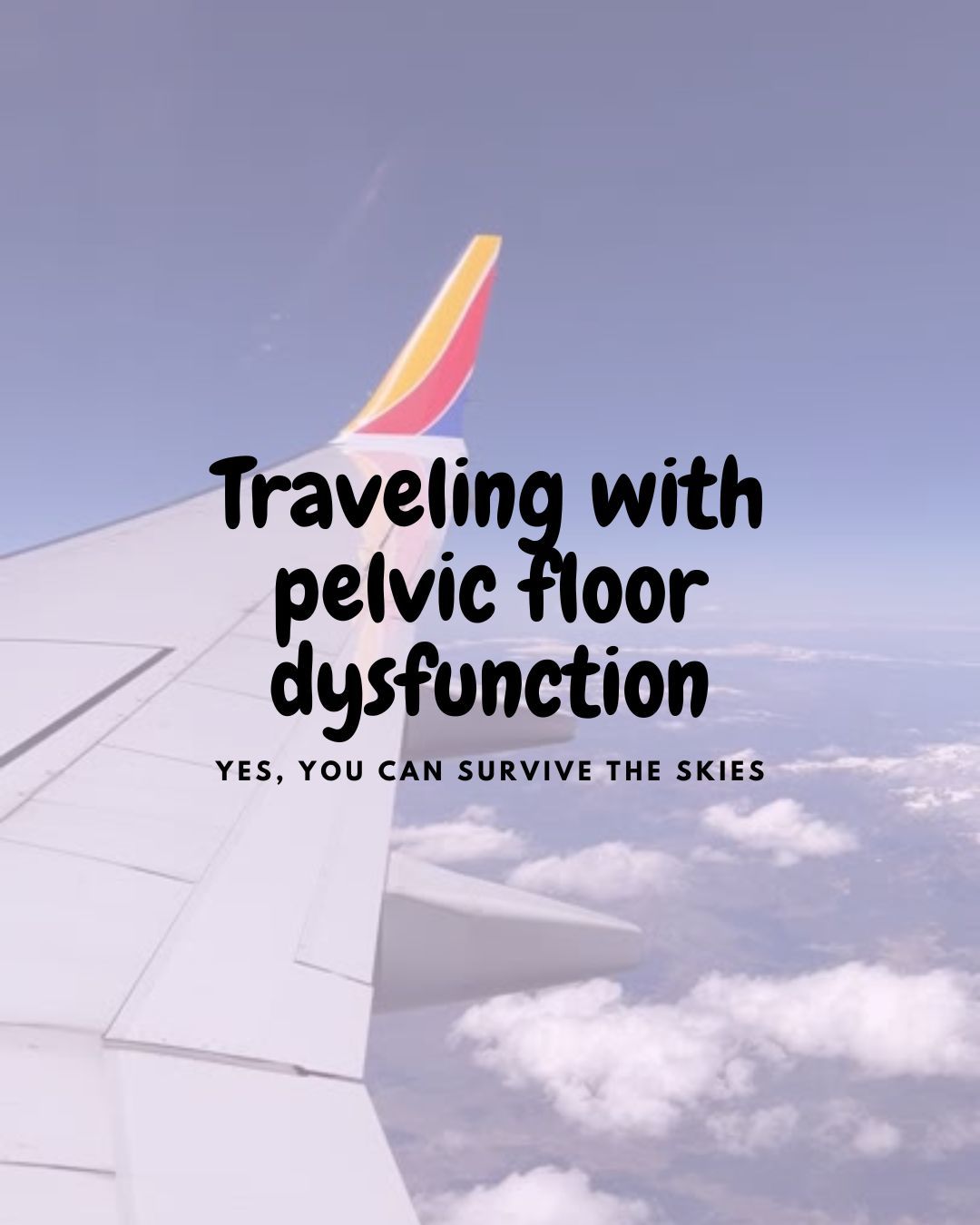 Flying with Pelvic Floor Dysfunction | Strength and Grace Physical ...